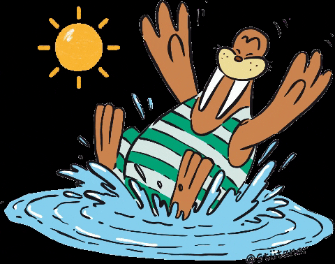 Fun Summer GIF by Trixi-Ferienpark - Find & Share on GIPHY