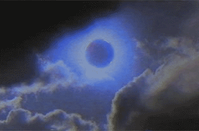Vintage Vhs GIF by rotomangler - Find & Share on GIPHY