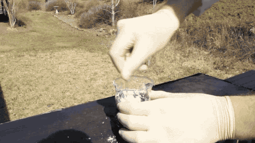 Powdered Sugar Experiment GIF - Find & Share on GIPHY