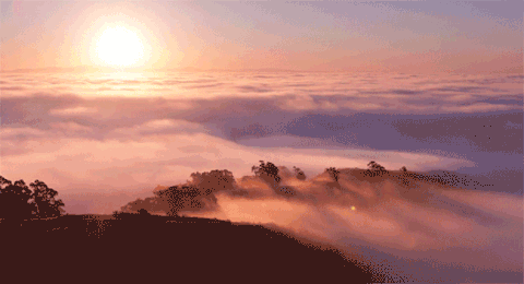 Fog GIF - Find & Share on GIPHY