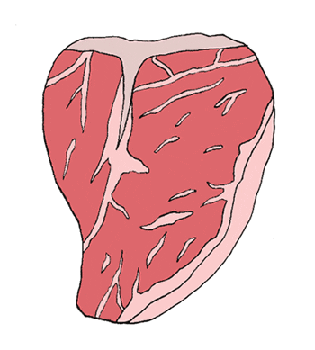 Meat GIF - Find & Share on GIPHY