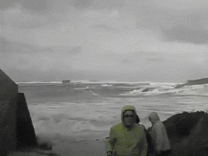 Beach Storm Surge GIFs - Find & Share on GIPHY