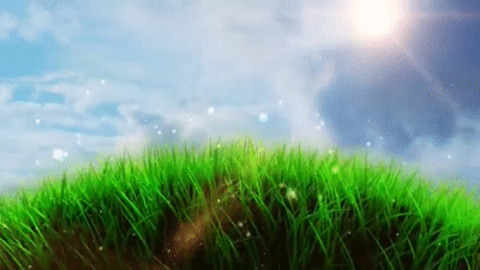 Grass GIF - Find & Share on GIPHY