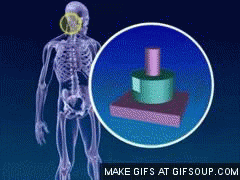 Joint GIFs - Find & Share on GIPHY