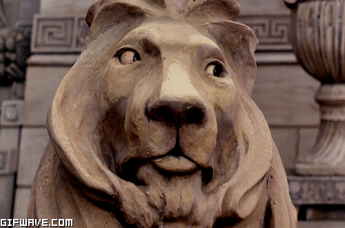 Cowardly Lion GIF - Find & Share on GIPHY