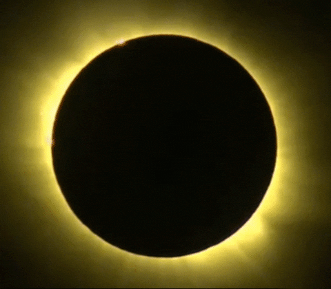 Images Eclipse GIF - Find & Share on GIPHY