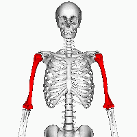 Rotation GIF - Find & Share on GIPHY