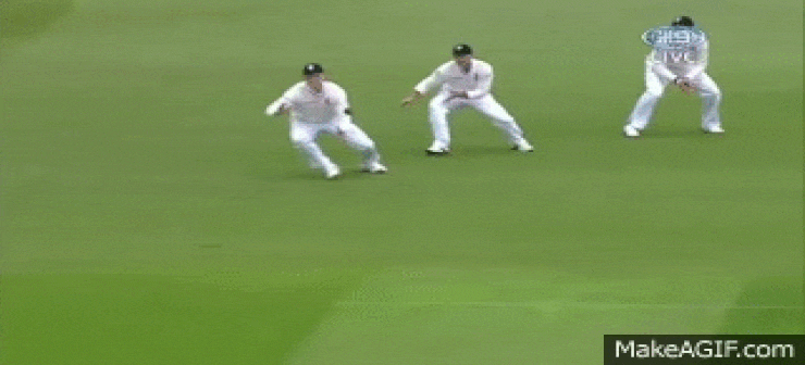 Cricket GIFs - Find & Share on GIPHY