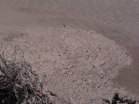 Mud GIF - Find & Share on GIPHY