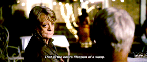 Exotic GIF - Find & Share on GIPHY