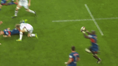 Course GIF by FCG Rugby - Find & Share on GIPHY