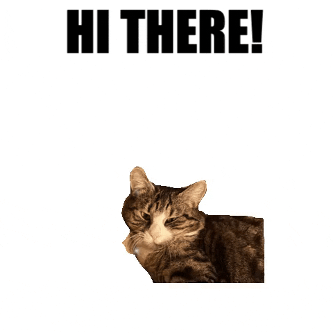 Cat Hello GIF by Lasca Fox - Find & Share on GIPHY