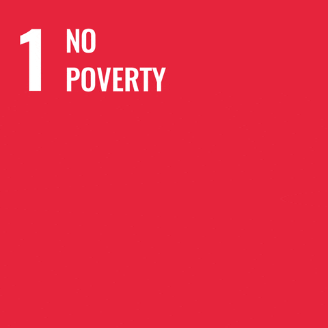 Yorku Sdg1 GIF by York University - Find & Share on GIPHY