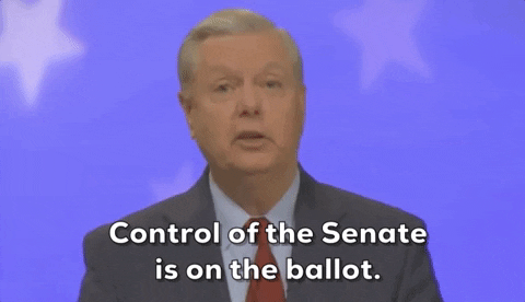 Lindsey Graham GIF by Election 2020 - Find & Share on GIPHY