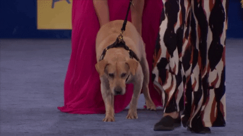 GIF by Hallmark Channel - Find & Share on GIPHY