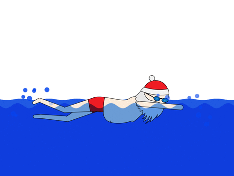 Merry Christmas Swimming GIF - Find & Share on GIPHY