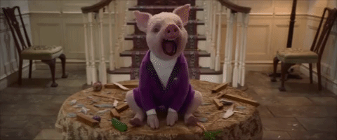 Peter Rabbit GIF - Find & Share on GIPHY