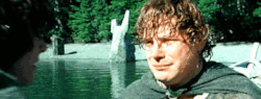 Samwise Gamgee GIF - Find & Share on GIPHY