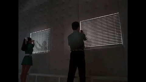 - Find & Share on GIPHY