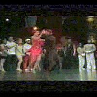 Salsa GIF - Find & Share on GIPHY