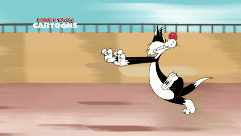Looney Tunes Running GIF by Cartoon Network Asia - Find & Share on GIPHY