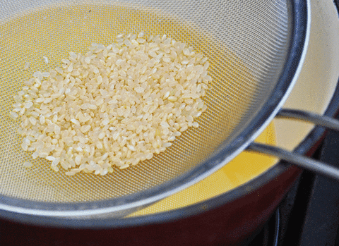 Rice GIF - Find & Share on GIPHY