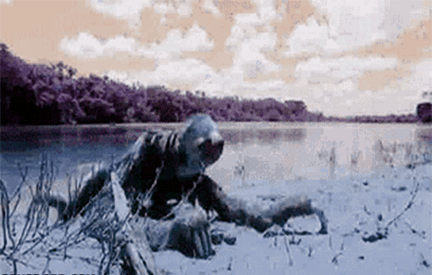 Swamp GIF - Find & Share on GIPHY