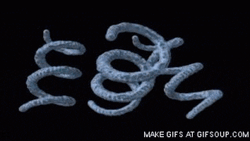 Bacteria GIF - Find & Share on GIPHY