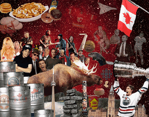Canada Day GIF - Find & Share on GIPHY