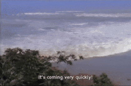 Tsunamidid GIFs - Find & Share on GIPHY