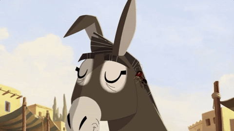 King Solomon GIF by The Orchard Films - Find & Share on GIPHY