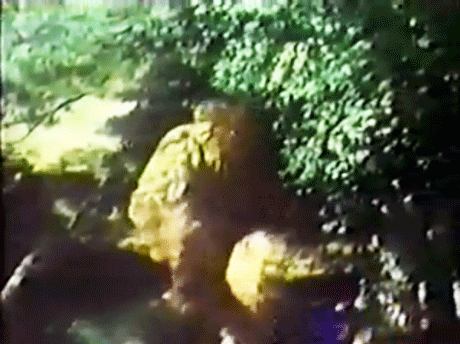 2014-15 Seal Team Video | Page 2 | VCU Ram Nation