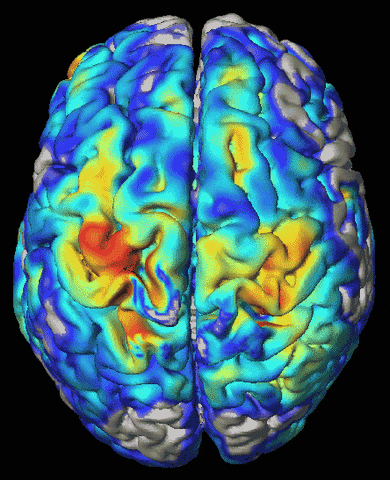 Animated Brain Gif Clipart Best