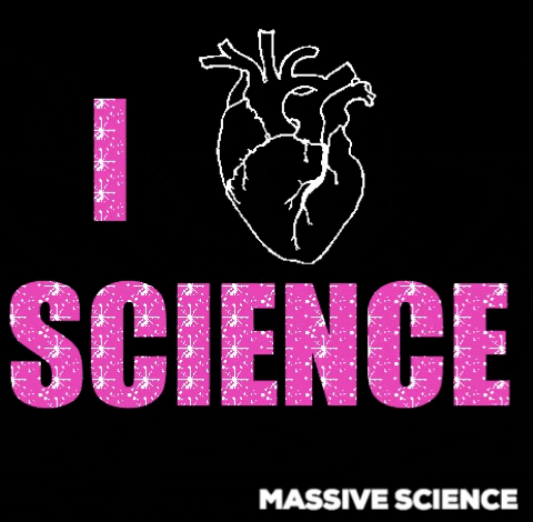 Heart Beat Love GIF by Massive Science - Find & Share on GIPHY