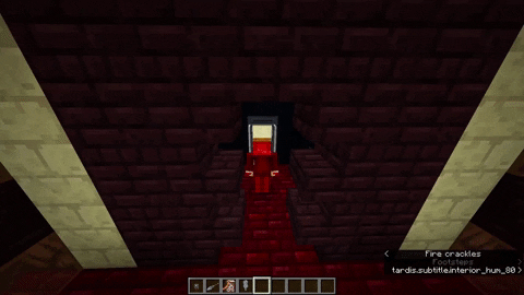 Crouching through the tardis door · Issue #260 · Spectre0987/TardisMod · GitHub