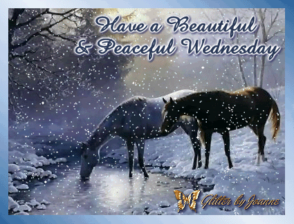 Peaceful GIF - Find & Share on GIPHY