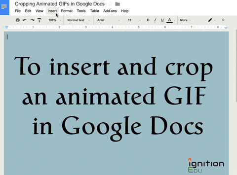 Google Docs GIF - Find & Share on GIPHY