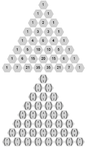 Pascal GIF - Find & Share on GIPHY