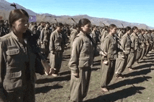 Military GIF - Find & Share on GIPHY