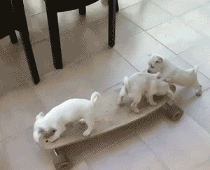 Teamwork GIF - Find & Share on GIPHY