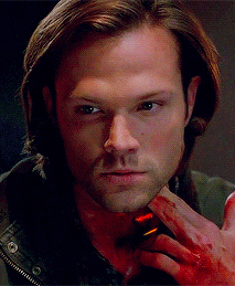 Bleeding GIFs - Find & Share on GIPHY