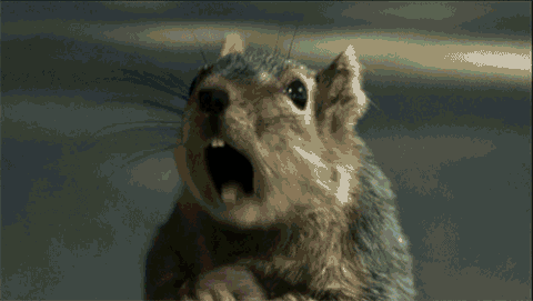 Yell GIF - Find & Share on GIPHY