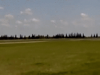 Feet Ground GIF - Find & Share on GIPHY