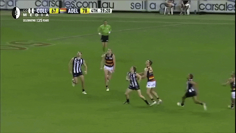 Andrew Krakouer Collingwood GIF by AFL - Find & Share on GIPHY