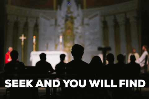 Focuscatholic Seek GIF by FOCUS - Find & Share on GIPHY