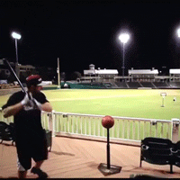 Baseketball GIFs - Find & Share on GIPHY