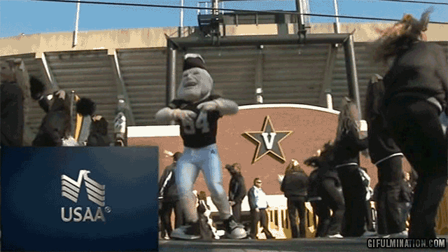 Chicken GIFs - Get the best GIF on GIPHY