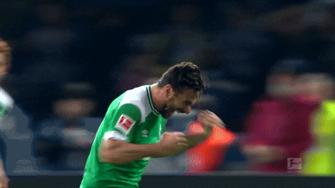 Bundesliga Celebrate GIF by SV Werder Bremen - Find & Share on GIPHY