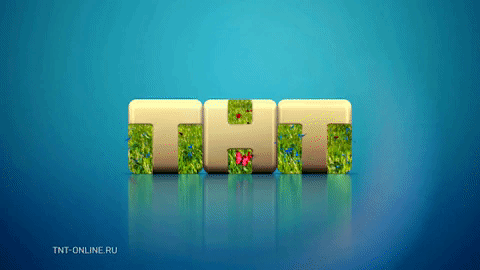 Logo Tnt GIF by Телеканал ТНТ - Find & Share on GIPHY