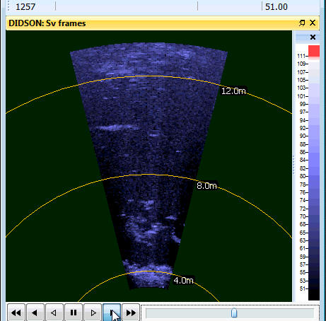 Sonar GIFs - Find & Share on GIPHY